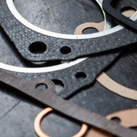 CUSTOM DIE CUT GASKETS by Midwest Gasket